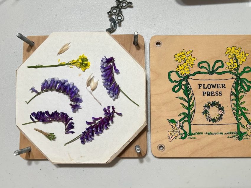 How to Press Flowers using a traditional Flower Presser - Joyful Source